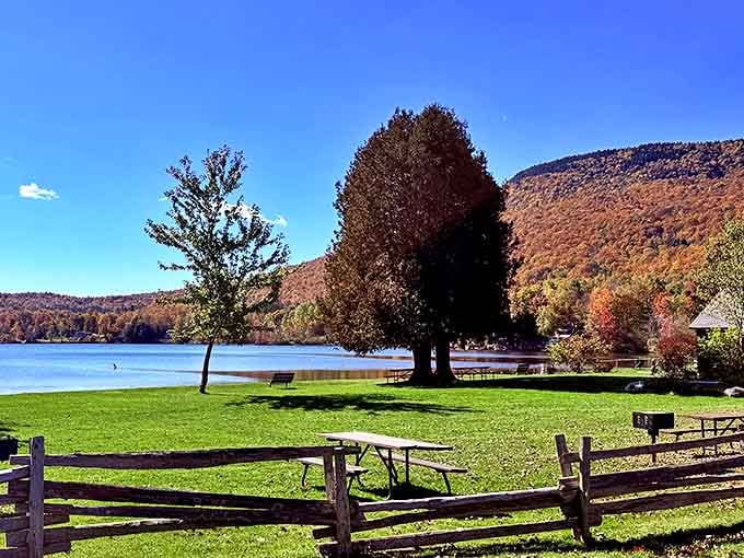 Picnic tables with million-dollar views that somehow still only cost a $5 entrance fee. Vermont's best-kept real estate secret.