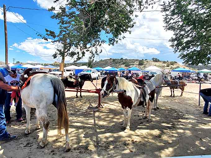 Pony rides bring childhood dreams to life under the watchful eyes of handlers, creating memories more lasting than any purchased souvenir.