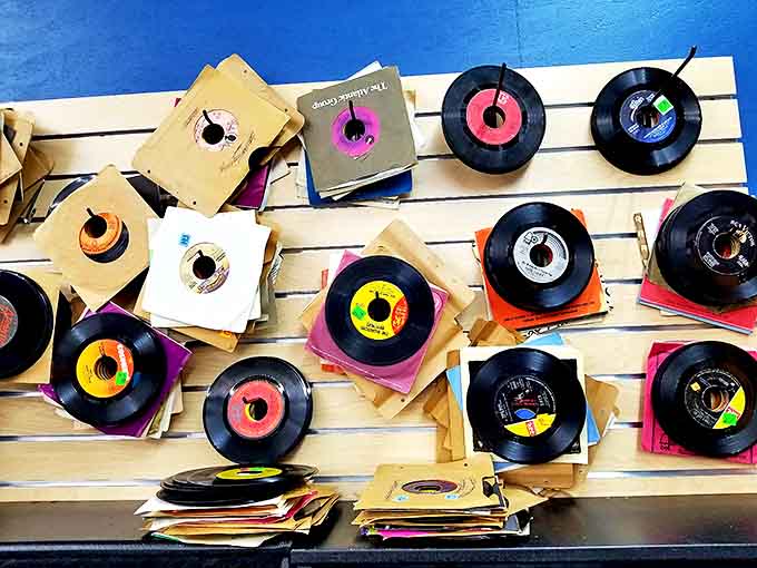 Vinyl records spread like colorful dinner plates at a musical feast. Each disc a time machine waiting to transport you back to your first dance or heartbreak.