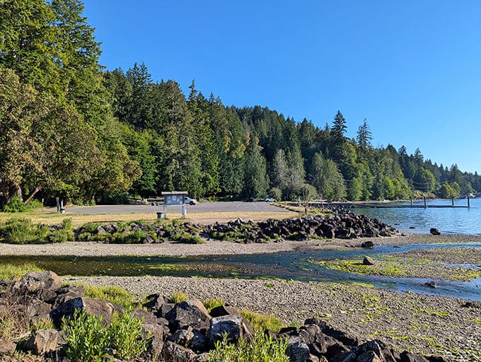 Where forest meets shoreline in perfect harmony &ndash; the kind of view that makes you question every life choice that doesn't involve living near water.