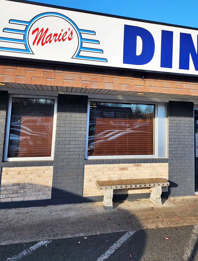 Classic American diner booths bathed in natural light—where the only thing more abundant than the portions is the warm welcome.