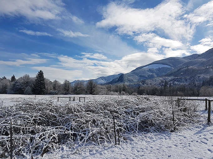 Winter transforms Rasar into a snow globe you can actually walk through. Suddenly those holiday cards make sense &ndash; this is what "winter wonderland" actually means.