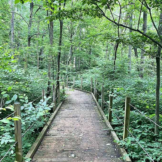This boardwalk doesn't lead to carnival games or cotton candy, but something far better&mdash;a journey into Indiana's emerald heart.