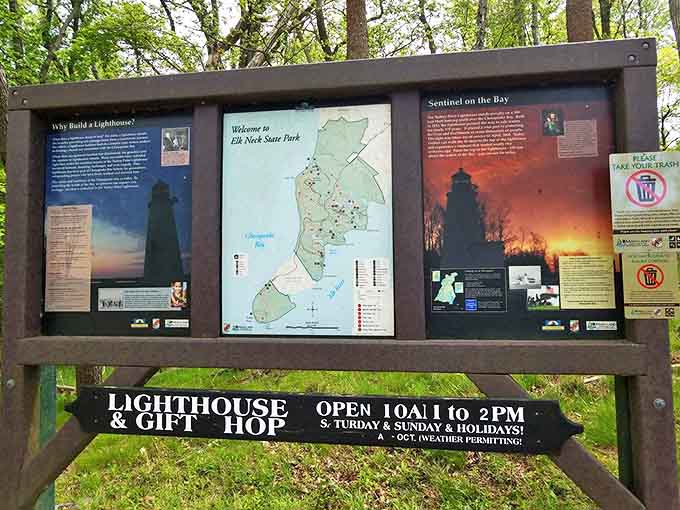 Information central: where your Elk Neck adventure begins with maps, lighthouse hours, and the promise of discoveries waiting just down the trail.