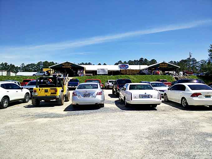 Parking lot promise land. Each vehicle represents a different treasure hunt in progress, with empty trunks soon to be filled with newfound treasures.