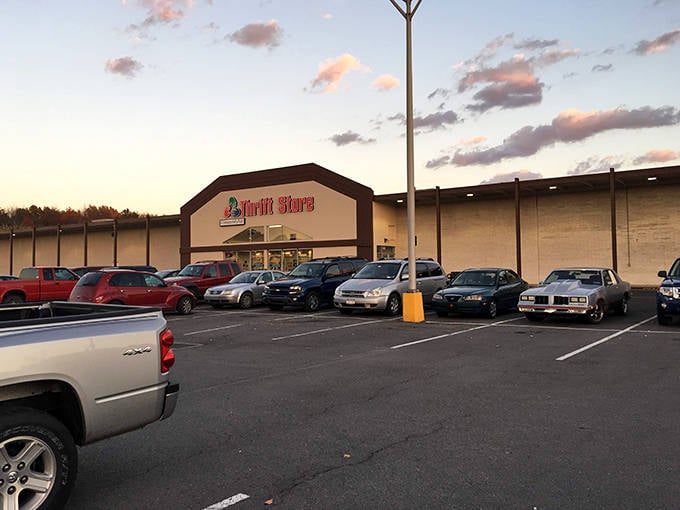Even at sunset, the parking lot fills with dedicated bargain hunters who know that tomorrow's inventory might be completely different.