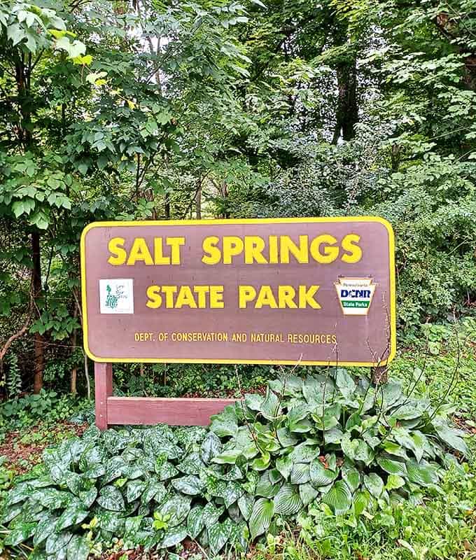 The park's entrance sign, surrounded by lush greenery, stands as both welcome mat and promise: natural wonders await just beyond.