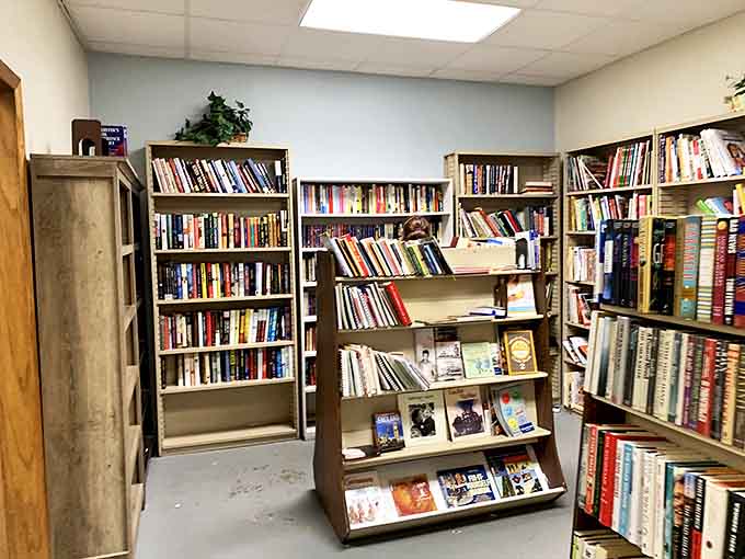 The book section rivals any small-town library, offering literary escapes from bestsellers to obscure treasures for mere dollars.