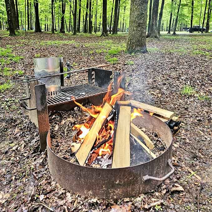 Primal television: a campfire crackling beneath towering trees. No subscription required, reception always perfect.