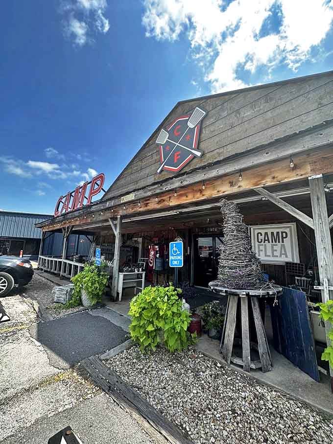 Blue skies frame Camp Flea's welcoming entrance, where even the wire tree sculpture and potted plants hint at the creative treasures waiting inside.
