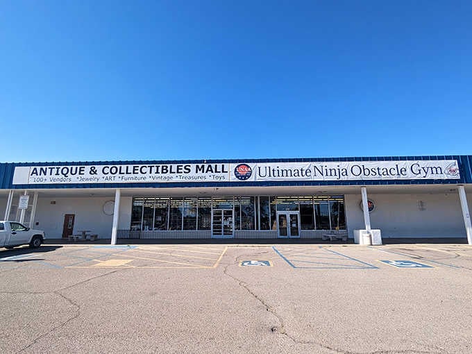 The mothership of memorabilia! Los Ranchos Antique Mall shares its massive space with&mdash;plot twist&mdash;an Ultimate Ninja Obstacle Gym. Because why not?