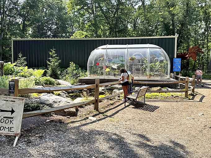 Gardens and greenhouses complement the indoor treasures, proving that Pandemonium's wonders extend beyond the walls into nature itself.