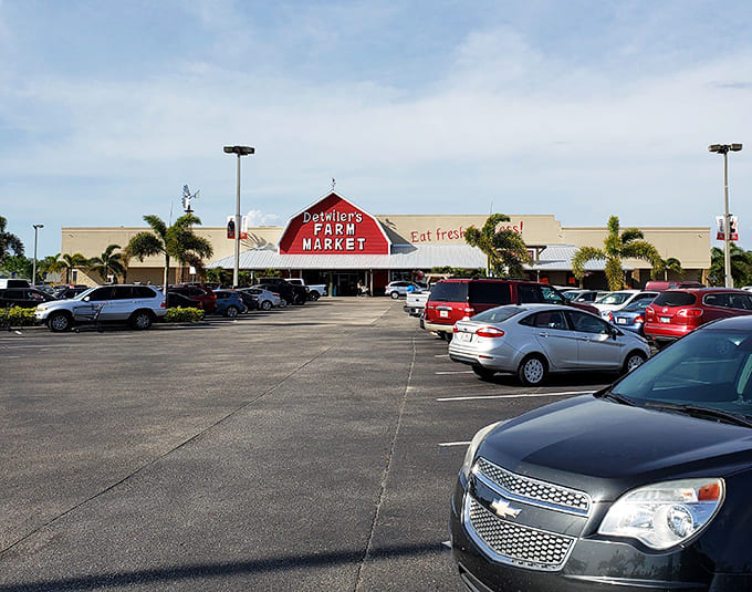 A parking lot that's never empty for good reason. Palm trees and produce—the perfect Florida pairing that keeps shoppers coming back.