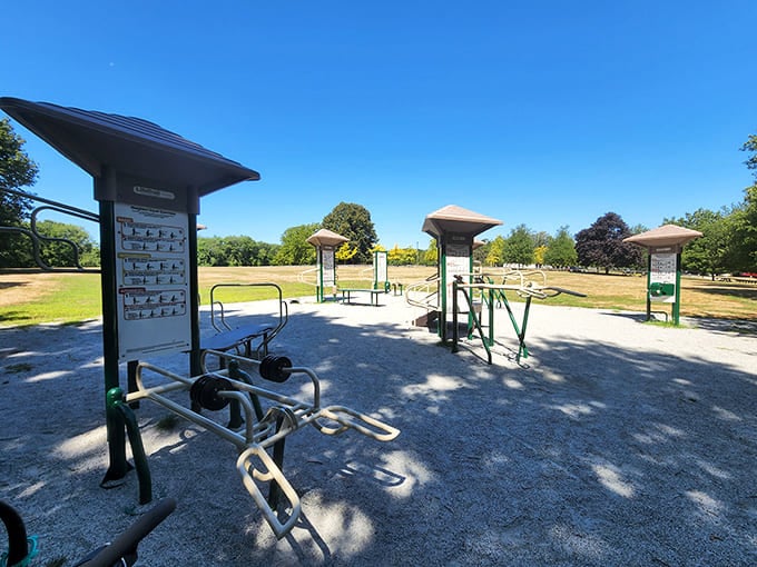 Who needs expensive gym equipment when you can have fresh air, sunshine, and these surprisingly challenging outdoor fitness stations?