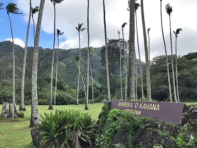 The official welcome to paradise, where tall palms stand at attention like nature's honor guard. This entrance sign promises adventures that Instagram filters can't improve.