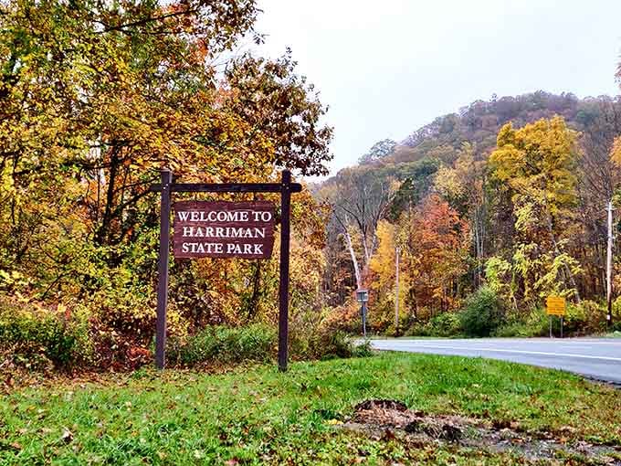 The welcome sign that signals your escape from reality is just moments away – no passport required, just comfortable shoes.