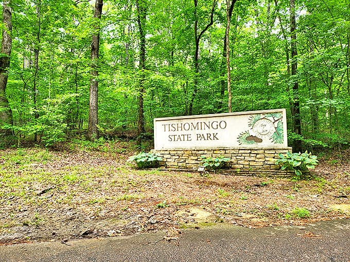 The park's entrance sign, nestled among green giants, welcomes visitors to a place where time slows and shoulders finally relax.