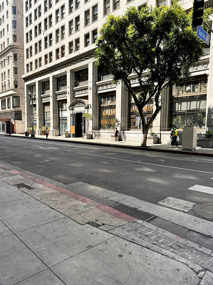 A literary oasis amid downtown concrete. That tree outside seems to be standing guard, protecting precious words from the digital apocalypse.