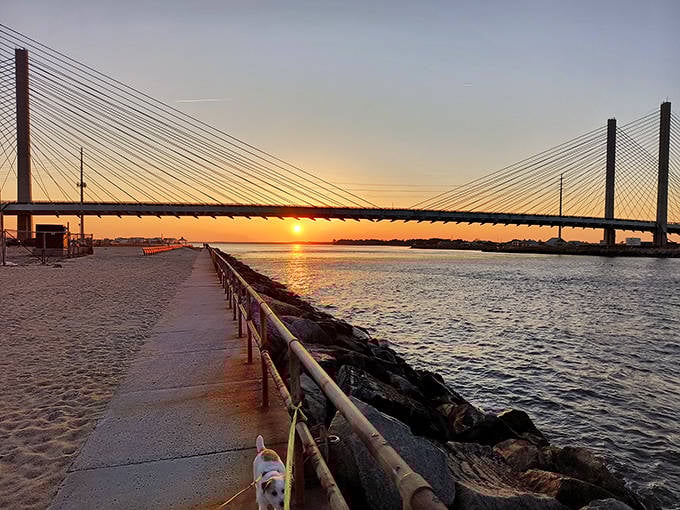 The bridge silhouetted against a sunset that looks like the sky decided to throw a color party. Nature's grand finale happens daily, no tickets required.