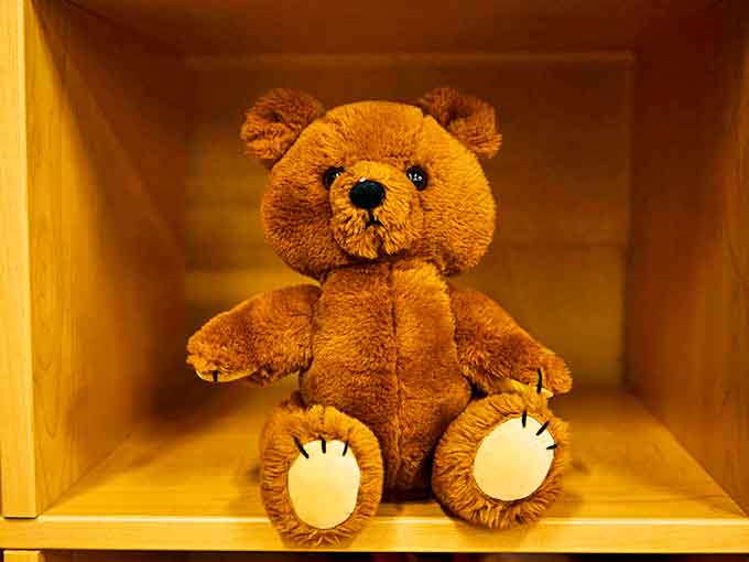 This teddy bear sits patiently, waiting for the next child who needs a friend—some treasures are truly priceless, even at thrift store prices.