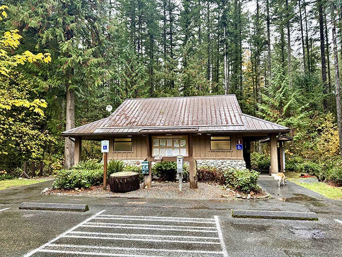 The visitor center &ndash; where park rangers somehow make geology sound as exciting as the latest streaming series. "Previously, on 'Tectonic Plates'..."