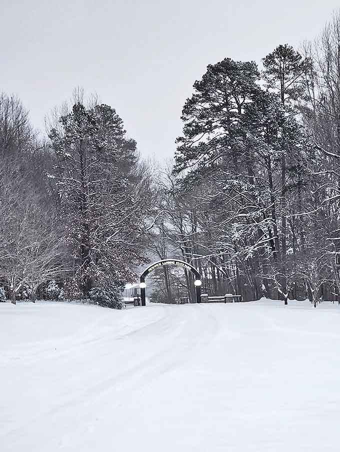 Winter's quiet magic transforms familiar landscapes. Snow blankets Pickwick's entrance, creating a scene worthy of the most expensive holiday card.