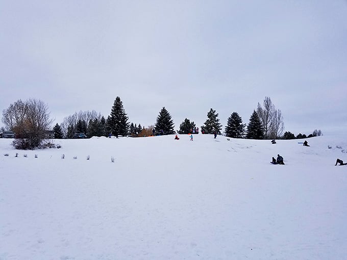 Winter transforms Rexburg into a playground where sledding hills remind us that sometimes the simplest pleasures deliver the biggest smiles.