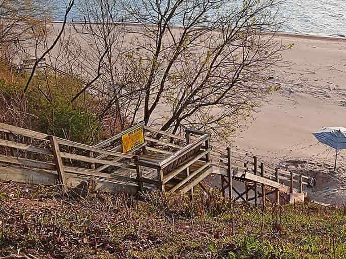 Wooden stairs descend to beach level, the threshold between forest and shore. That "Beach Access" sign might as well read "Stress Exit."
