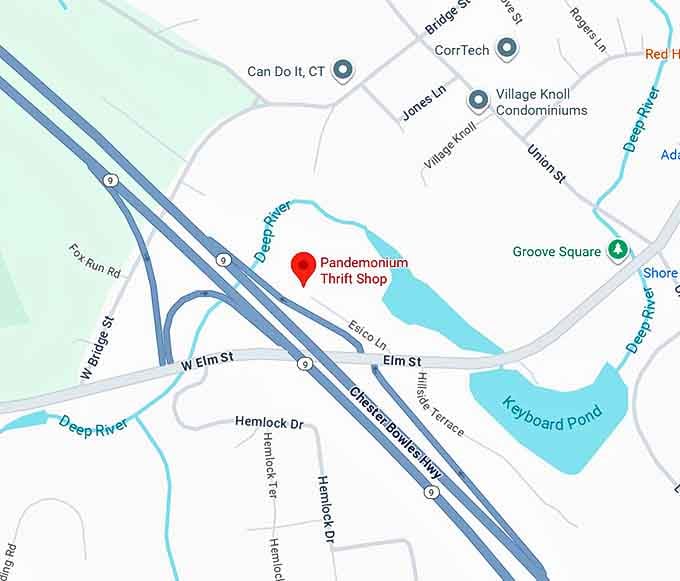 16. pandemonium thrift shop map