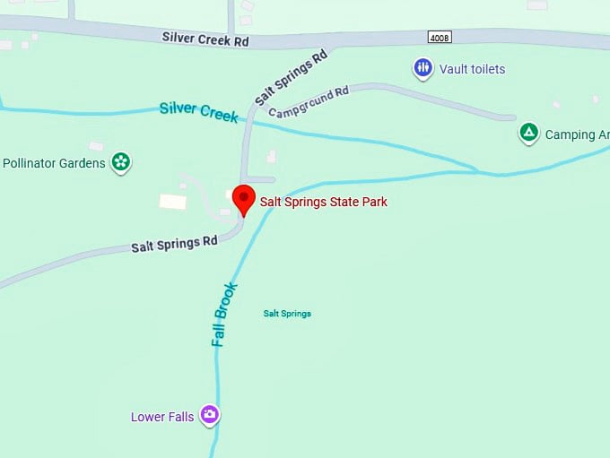 16. salt springs state park map