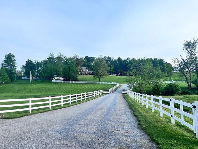 White fences guide you down gravel roads where time moves at horse-and-buggy pace through Charm's countryside.
