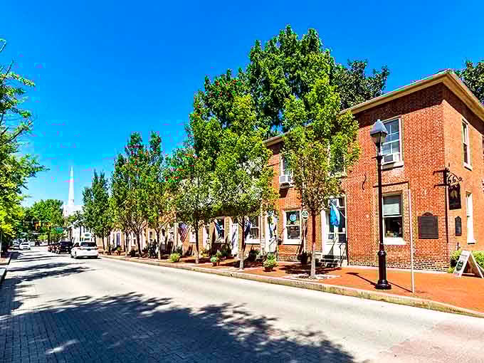 Brick-lined streets and historic buildings give Dover its timeless charm. This walkable downtown means your Social Security dollars stay in your pocket, not your gas tank!