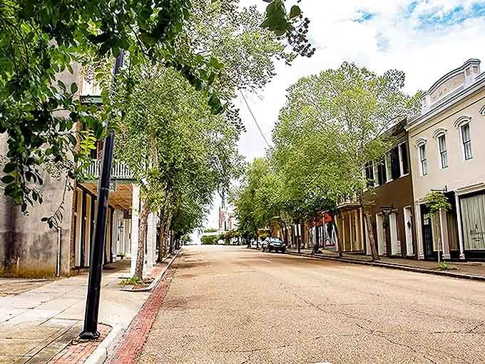 Tree-lined avenues in Natchez create peaceful neighborhoods where your Social Security stretches like Southern hospitality.