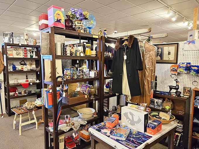 Shelves stacked with memories and possibilities. One person's forgotten knick-knack becomes another's conversation piece in this organized chaos of collectibles.