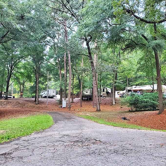 Camping among towering pines &ndash; where "roughing it" still includes electricity and the only notification you'll get is from a curious squirrel.