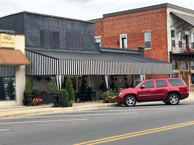 Striped awnings and colorful planters bring life to Sheffield's storefronts, creating the kind of Main Street charm that big-box retailers can only dream about.