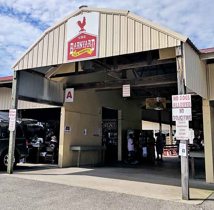 Step through these doors and kiss your Saturday goodbye&mdash;the entrance to Augusta's ultimate treasure hunt beckons with endless possibilities and zero regrets.