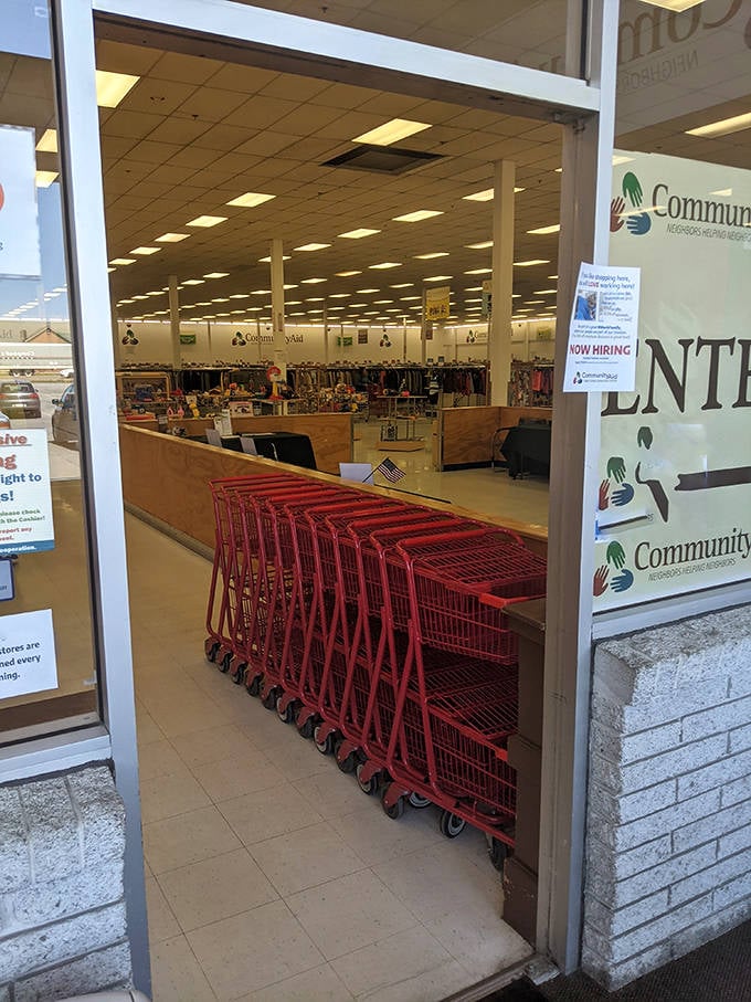 Those iconic red shopping carts stand ready to escort you through a retail adventure that's part treasure hunt, part budget therapy.