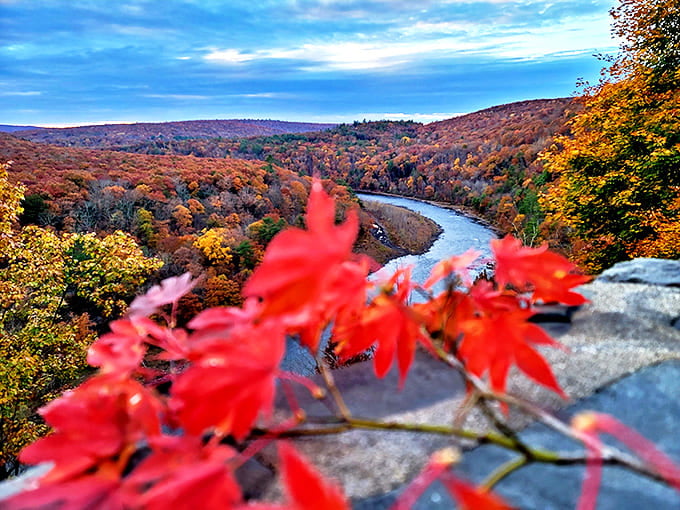 Fall's fashion show in full swing, where maple leaves dress in their finest reds while the river flows blue-carpet ready below.