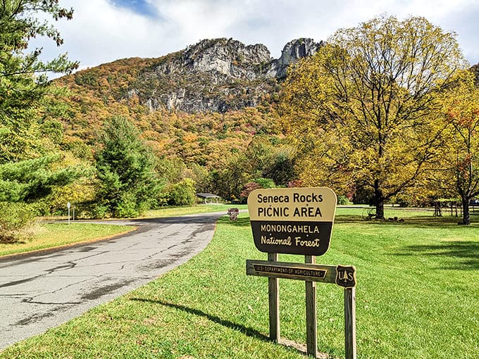 Seneca Rocks stands like nature's cathedral, a testament to geological patience that makes your weekend DIY projects seem a bit less impressive.