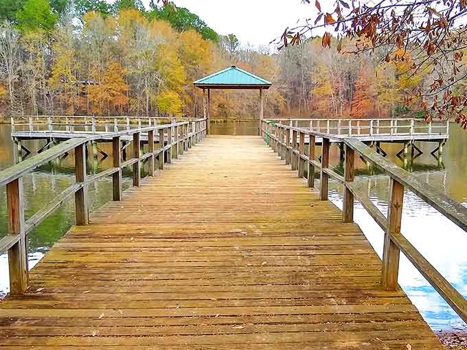 This wooden pier stretches toward autumn-painted trees, offering a peaceful retreat where time slows to match the gentle ripples on the water.