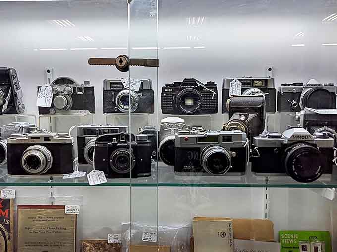 Not just cameras, but time machines that once captured someone's wedding, birthday, or Sunday picnic. Each with stories to tell.