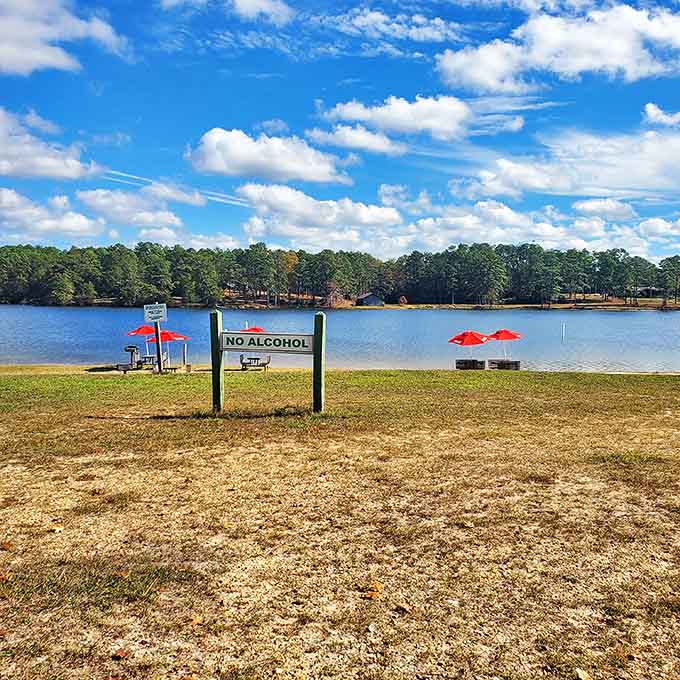 Mother Nature's beach party comes with a "No Alcohol" policy, but the intoxicating views of Geiger Lake more than make up for it.