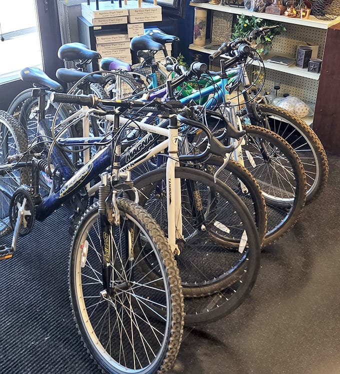 The bicycle brigade stands at attention, ready for new adventures. From mountain trails to neighborhood cruises, these wheels await their second chance at freedom.