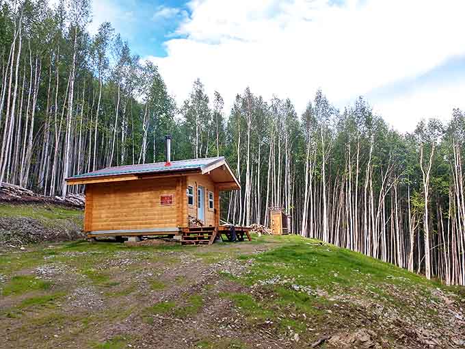 This rustic cabin isn't just accommodation&mdash;it's front-row seating to Alaska's greatest show: solitude with a view that Netflix can't compete with.