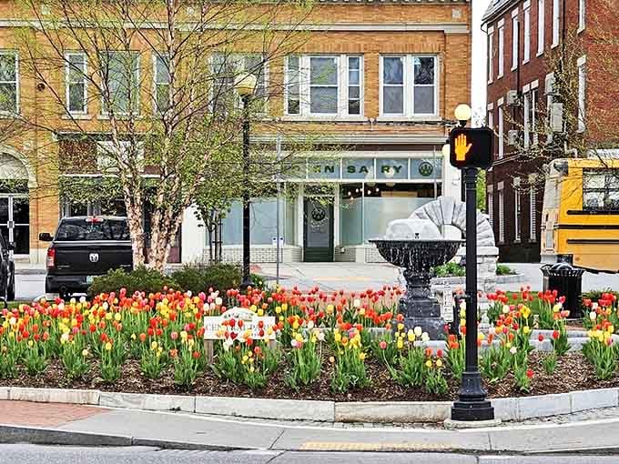 Spring explodes in technicolor glory at Brandon's town center, where tulips compete with historic architecture for who can charm you faster.