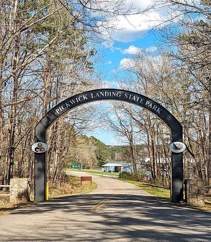 Nature's grand welcome committee. The iconic arch entrance to Pickwick Landing State Park promises adventures that Instagram filters simply can't enhance.