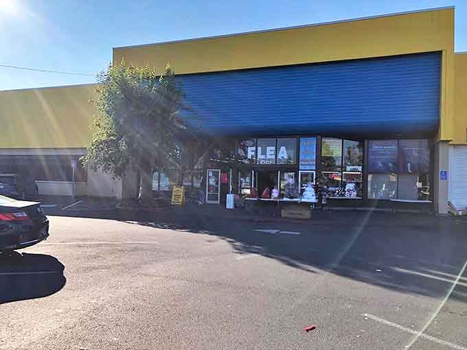 The unassuming exterior that hides a universe of treasures. Like a poker player with a royal flush, it keeps its best cards hidden.