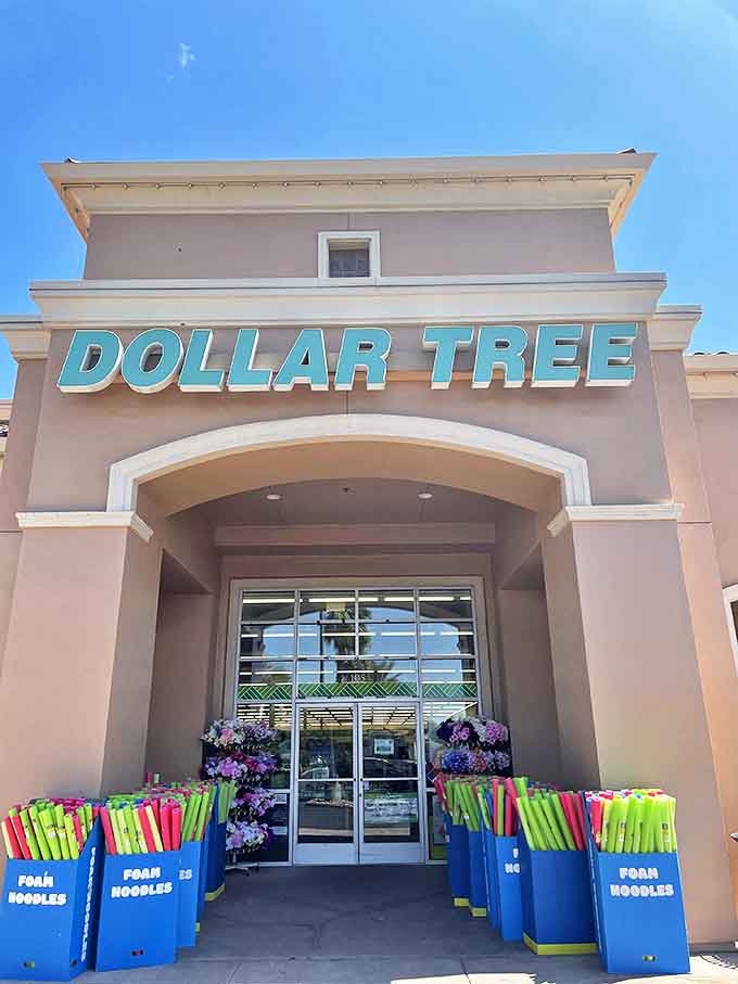 Colorful pool noodles stand guard like budget-friendly sentinels, welcoming shoppers to a world where a buck twenty-five still buys happiness.