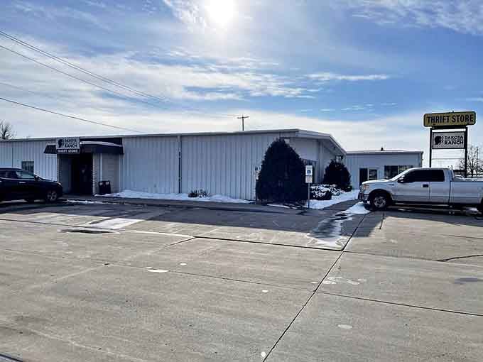 Winter sunshine illuminates this no-frills building where budget-conscious shoppers discover everything from vintage vinyl to barely-worn boots.